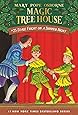 Amazon.com: Stage Fright on a Summer Night (Magic Tree House #25 ...