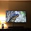 Amazon.com: Sony 65-Inch 4K Smart LED-LCD 3D TV XBR65X930D (2016 ...