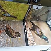 National Audubon Society Field Guide to North American Birds: Eastern ...