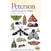 The Moth Book: A Guide to the Moths of North America: Holland, William ...