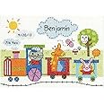 Amazon.com: Dimensions Train Birth Record Counted Cross Stitch Kit, Baby Shower Gift, 7” x 5”
