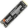 Amazon.com: DATO 1TB SSD M.2 2280 PCIe Gen3x4 NVMe Internal Solid State ...