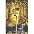 Amazon.com: The Telling Pool: 9780810992573: Clement-Davies, David: Books