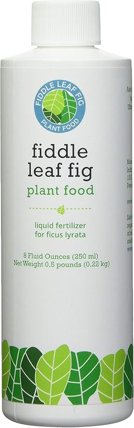 Fiddle Leaf Fig Tree Plant Food for Ficus Lyrata - Calcium Fortified ...