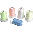 Amazon.com: Simthread Glow in The Dark Thread, Polyester Embroidery ...