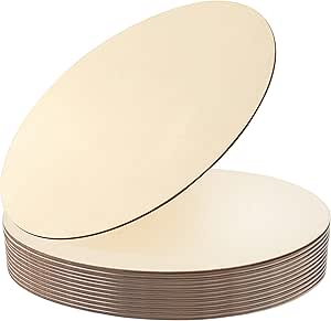 Amazon.com: Wood Circles for Crafts,12 Pack 12 Inch Unfinished Wood ...