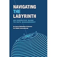 Amazon.com: Navigating the Labyrinth: An Executive Guide to Data ...