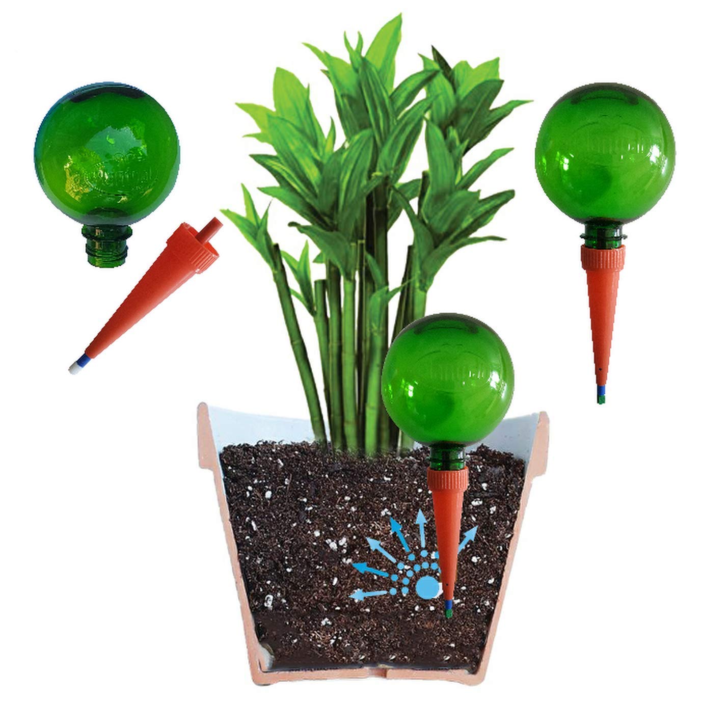 How To Use Watering Globes at Hannah Belisario blog