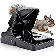 Amazon.com : Squirrel Trap (2 Pack) - Consistent & Humane Kill Every ...