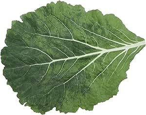 Amazon.com: Green Textured Cabbage Leaf Place Mat, 16 Inches X 12 ...