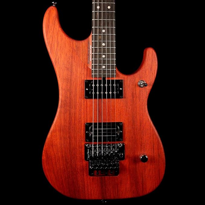 Amazon.com: Washburn USA Custom Shop Signature Series Electric Guitar ...
