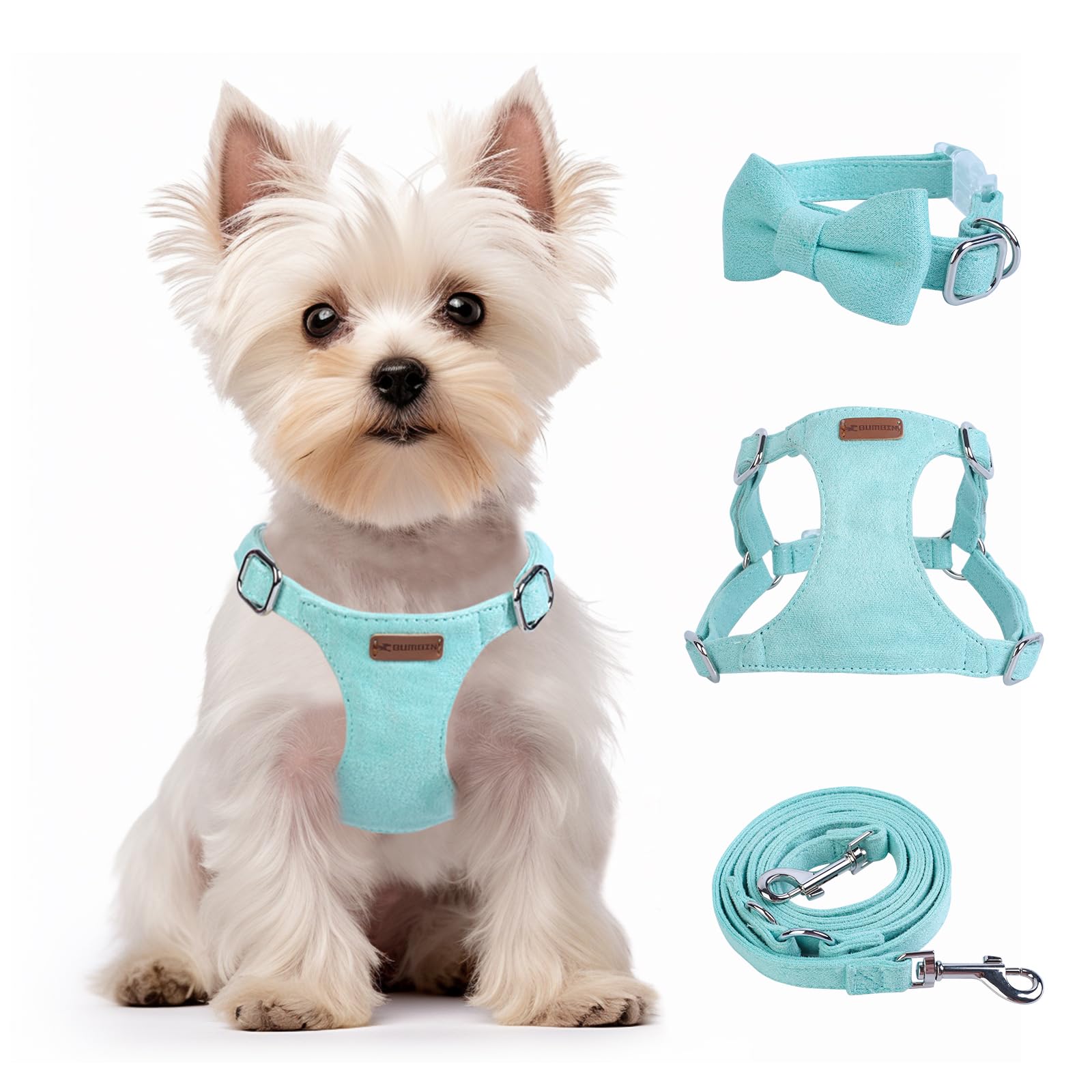 Dog Harness and Leash Set, XXS No Pull Adjustable Puppy Harness with ...