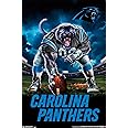 Amazon.com: Trends International NFL Carolina Panthers - 3 Point Stance ...