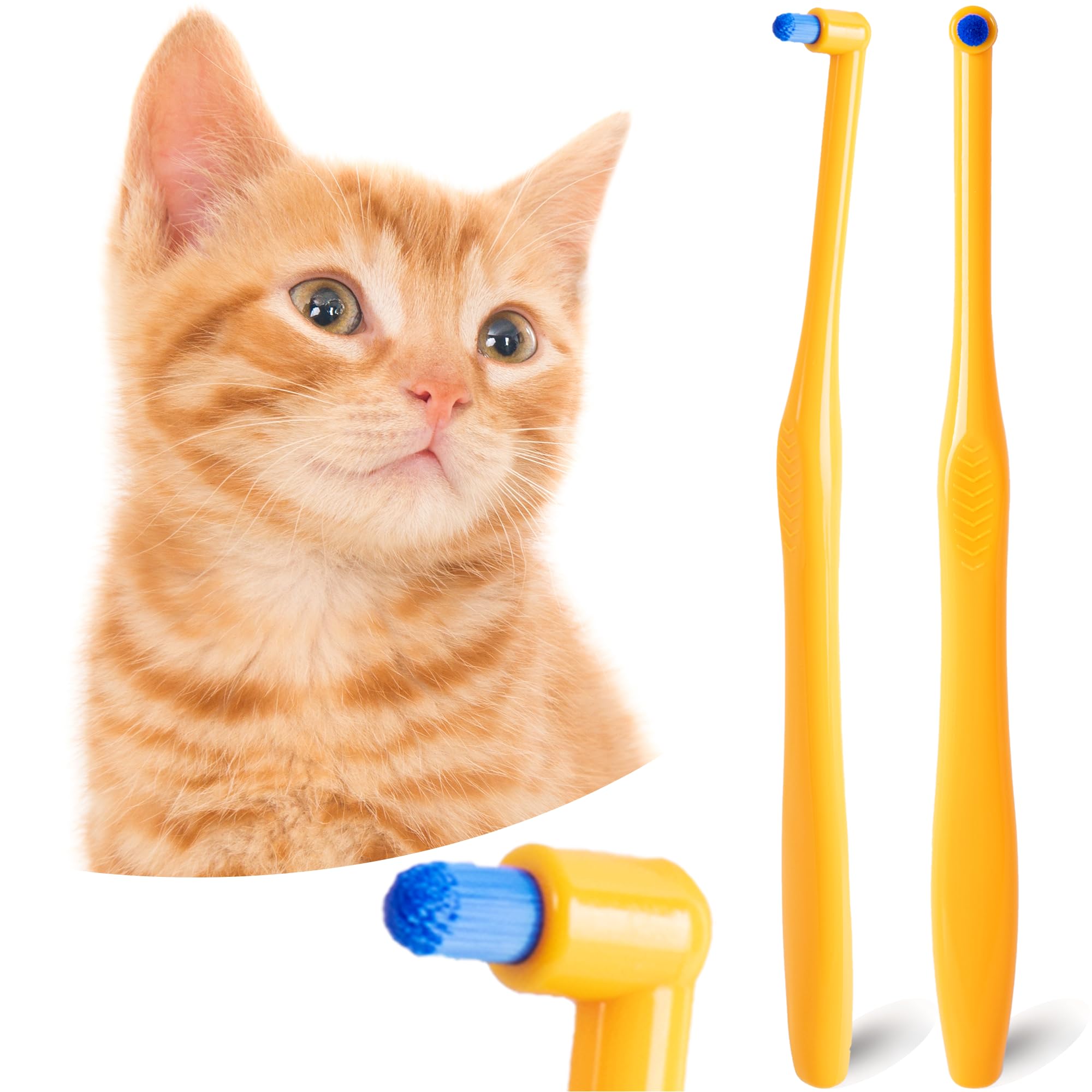 MoonyMars Cat Toothbrush Tuft Head, Small Dog & Puppy Tooth Brushing ...