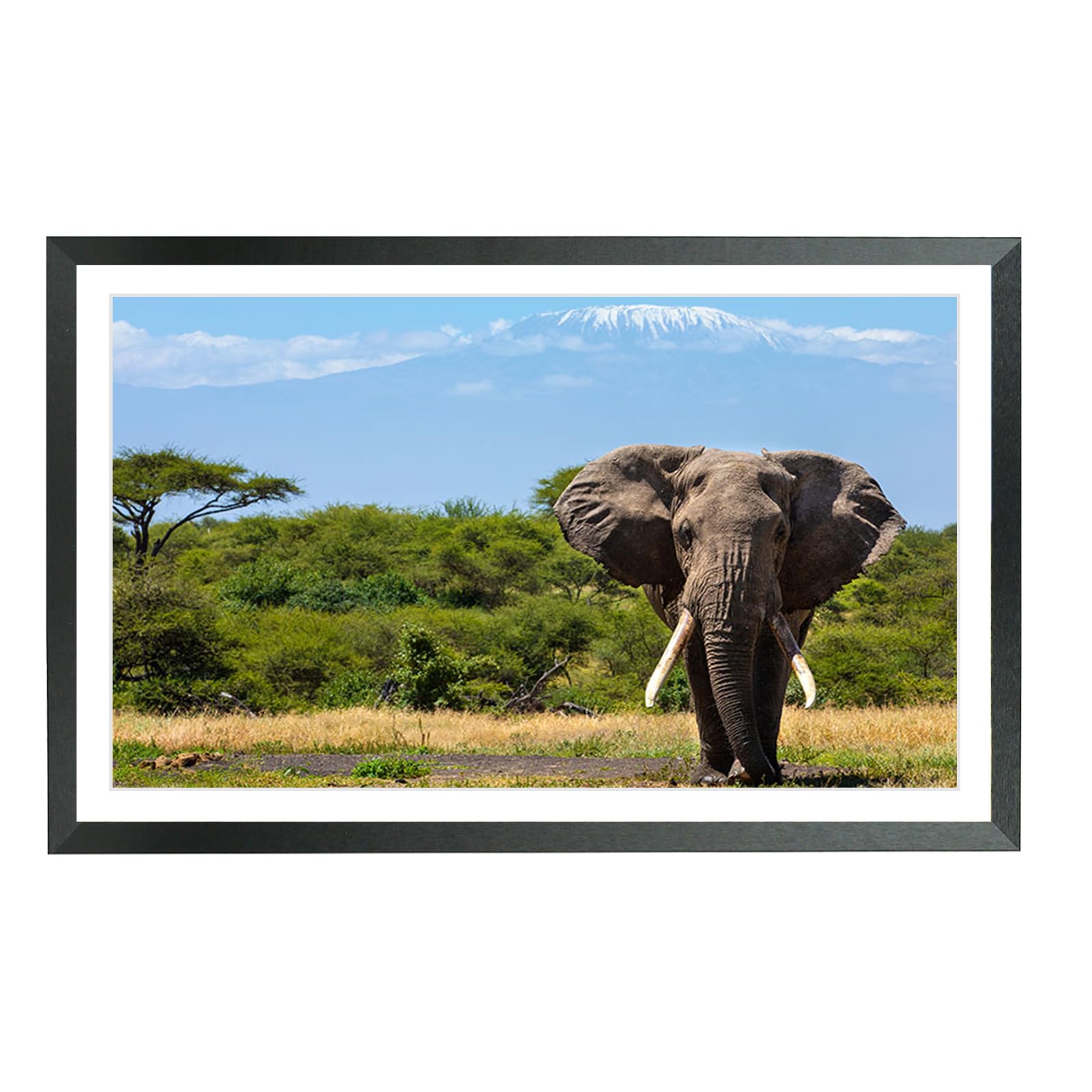 Mxtallup 12x21 Picture Frames Solid wood, Display Pictures 10x19 Inch ...