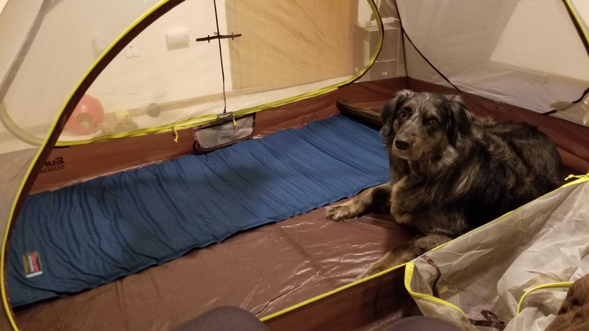 $10/mo - Finance Eureka! Summer Pass Three-Season Backpacking Tent ...