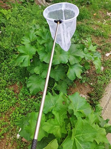 Telescopic Butterfly and Insect Nets Great for Catching Insects Bugs ...