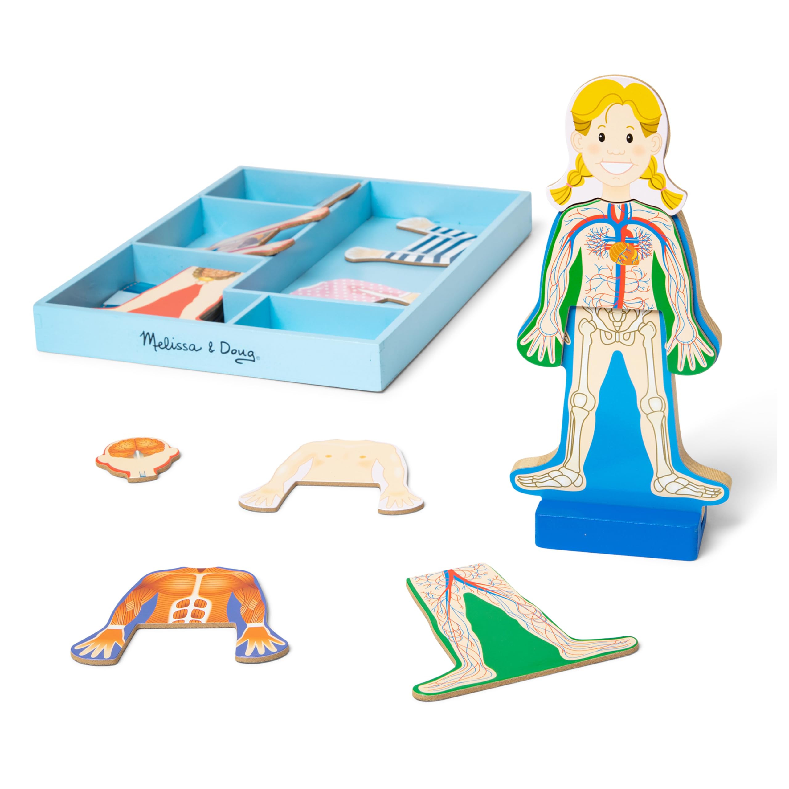 Mua Melissa & Doug Magnetic Human Body Anatomy Play Set With 24 ...