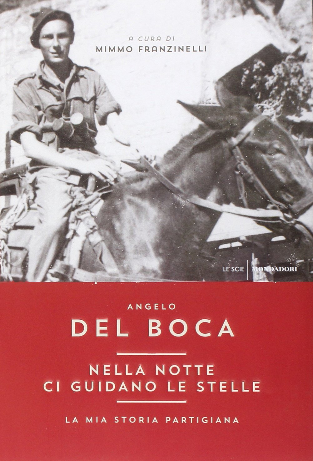 In ricordo di Angelo Del Boca, partigiano e storico. | FreeSkipper Italia