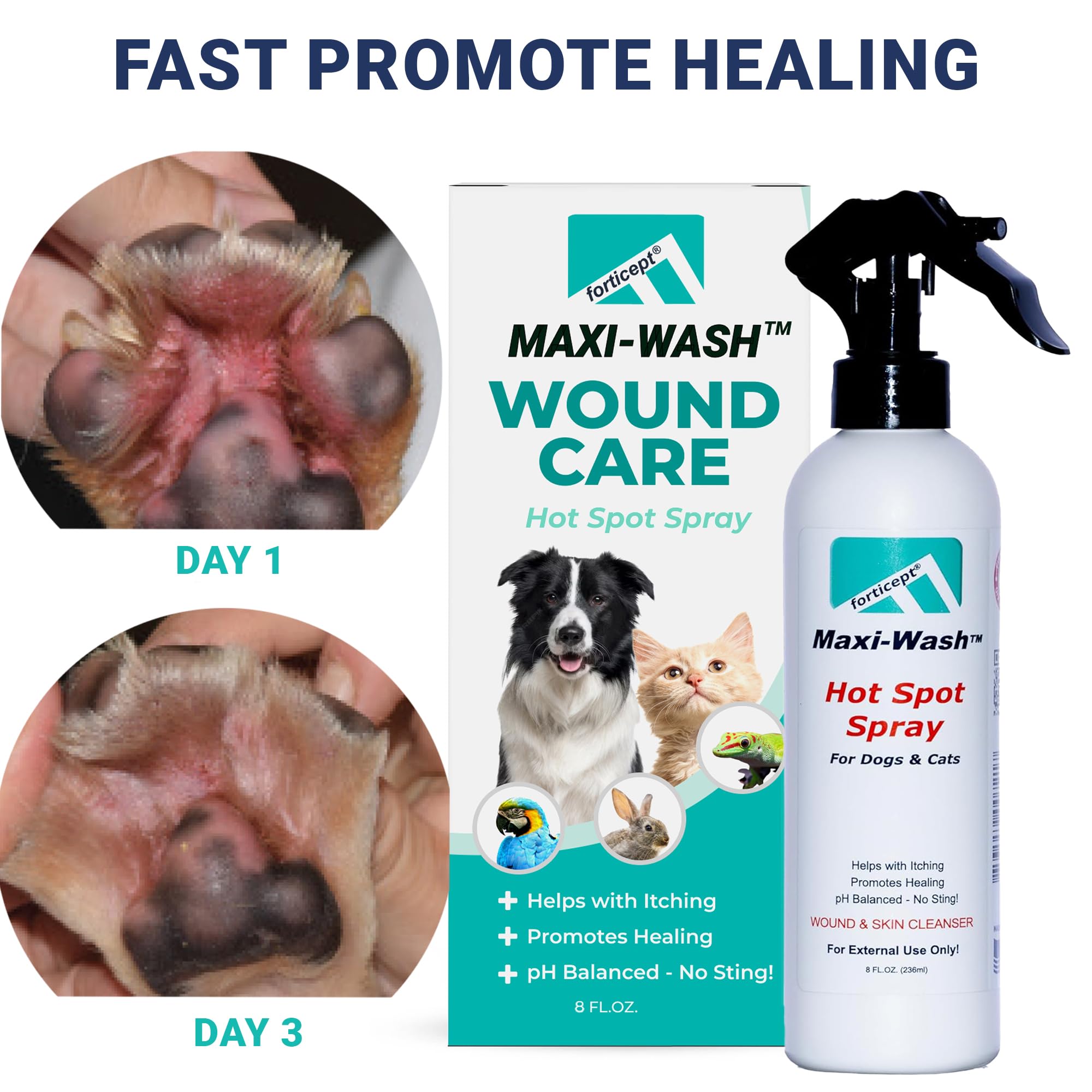 Mua Forticept Maxi-Wash Hot Spot Spray Treatment, Wound Care & Itch ...