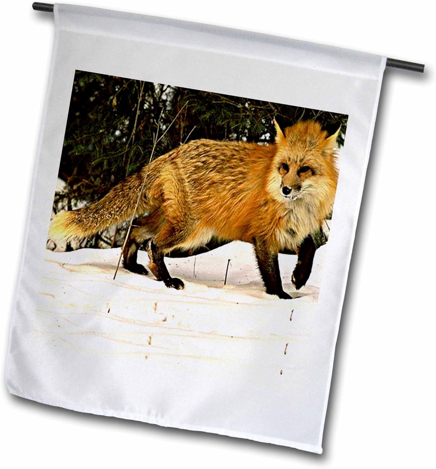 Amazon.com : 3dRose Red Fox-Garden Flag, 18 by 27-inch (fl_771_2 ...