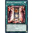 Amazon.com: Yu-Gi-Oh! Mature Chronicle - PHNI-EN055 - Common - 1st Edition