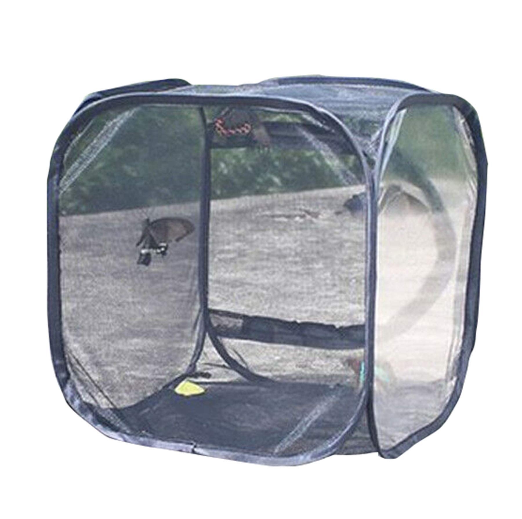 Kmsunme Insects Habitat With Caterpillars Insect Mesh Cage Pop Up ...