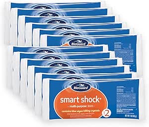 BioGuard Smart Shock (1 lb) (12 Pack) + Free Shipping