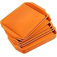 Amazon.com | Aebeky Plastic Fast Food Tray,16.7 by 11.8-Inch,Set of 12 ...
