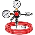 Amazon.com: PERA Dual Gauge Nitrogen Regulator - Draft Beer CGA-580 ...