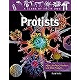 Protists: Algae, Amoebas, Plankton, and Other Protists (A Class of ...
