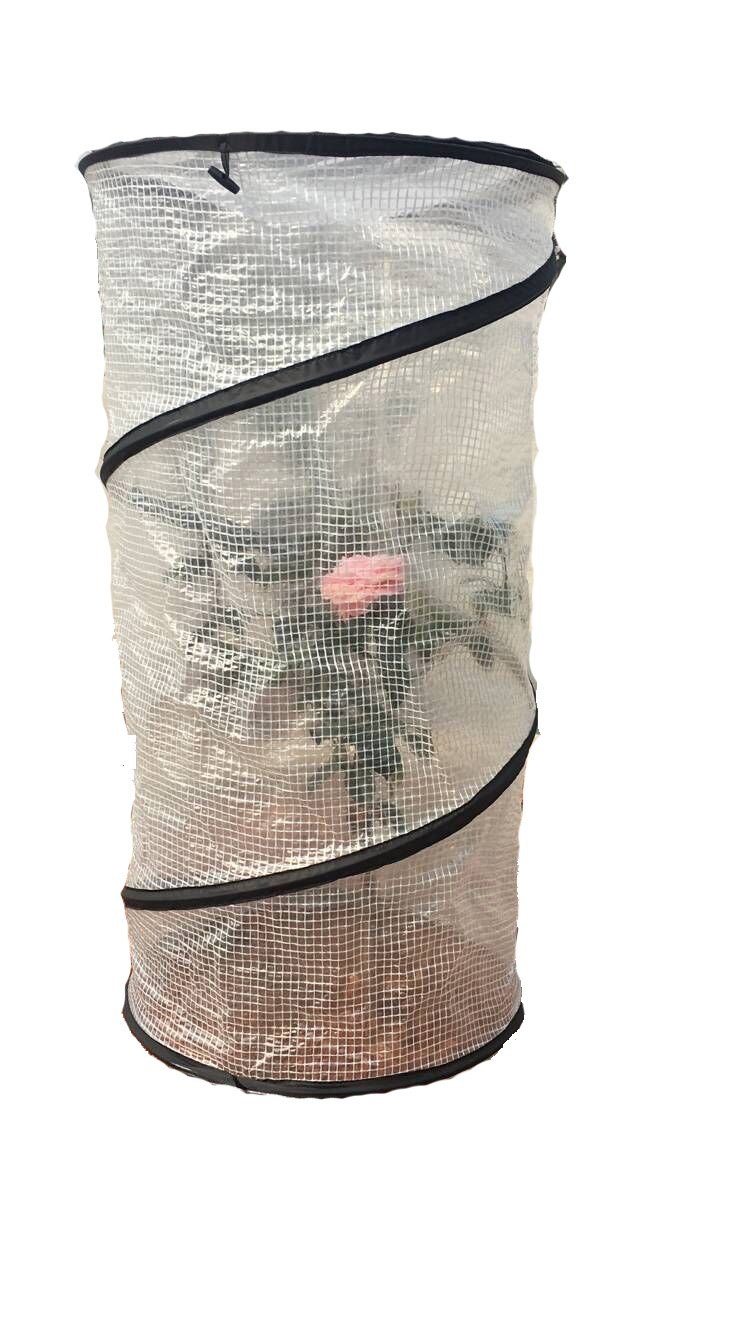 Green Valley Supply Pop-up Plant Cover, Protector, Tomato Accelerator ...