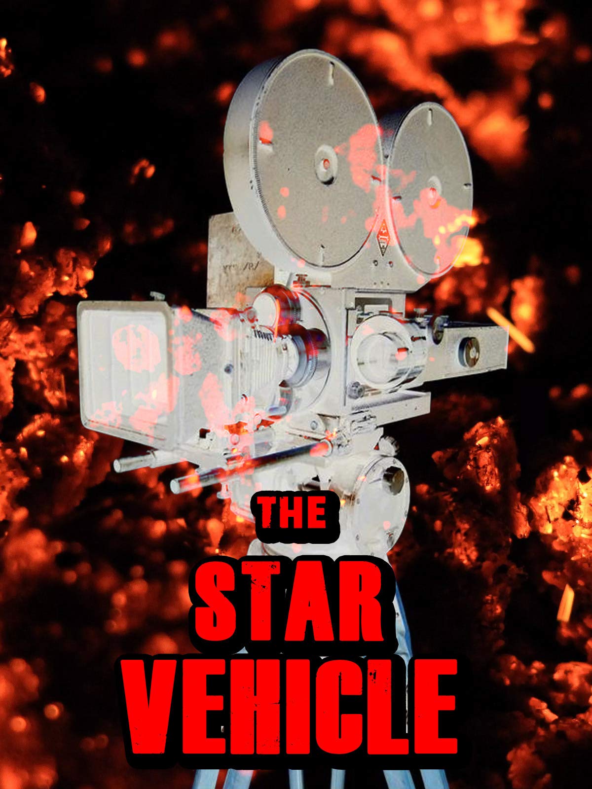 Watch The Star Vehicle | Prime Video