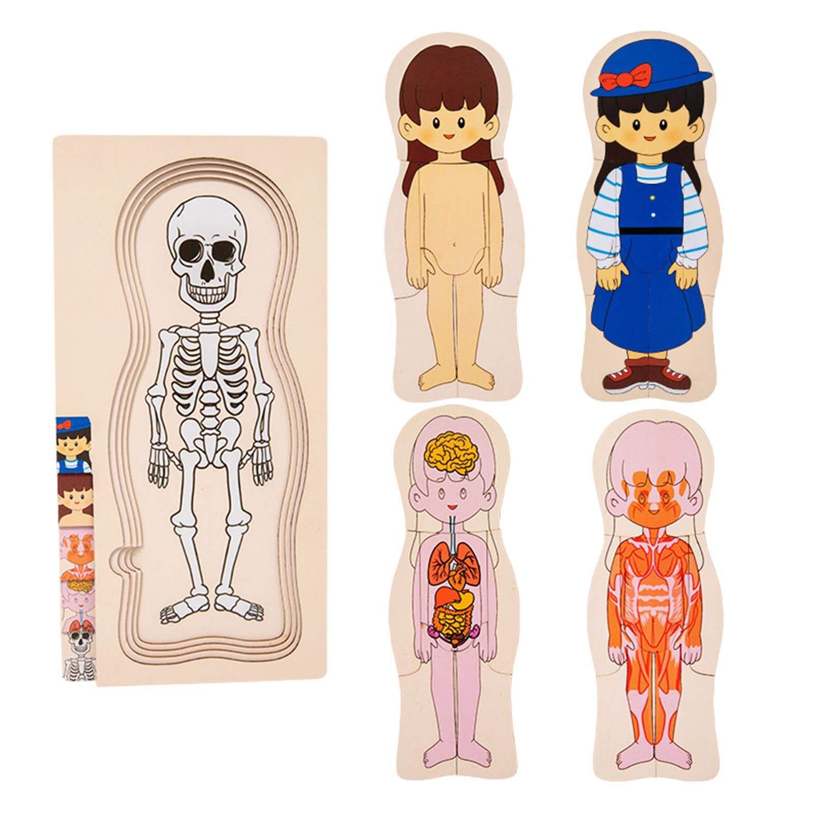 Mua Fellflying Wooden Body Parts Puzzle,Human Body Wooden Puzzle,Human ...