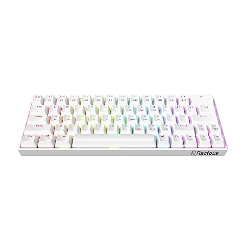 Ractous RTK63 60% Mechanical Gaming Keyboard True RGB Backlit Type-C ...