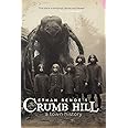 Crumb Hill: a town history: Renoe, Ethan: 9798218529154: Amazon.com: Books