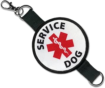 Amazon.com: SERVICE DOG Medical Alert Symbol 2 in 1 Double Sided Patch ...