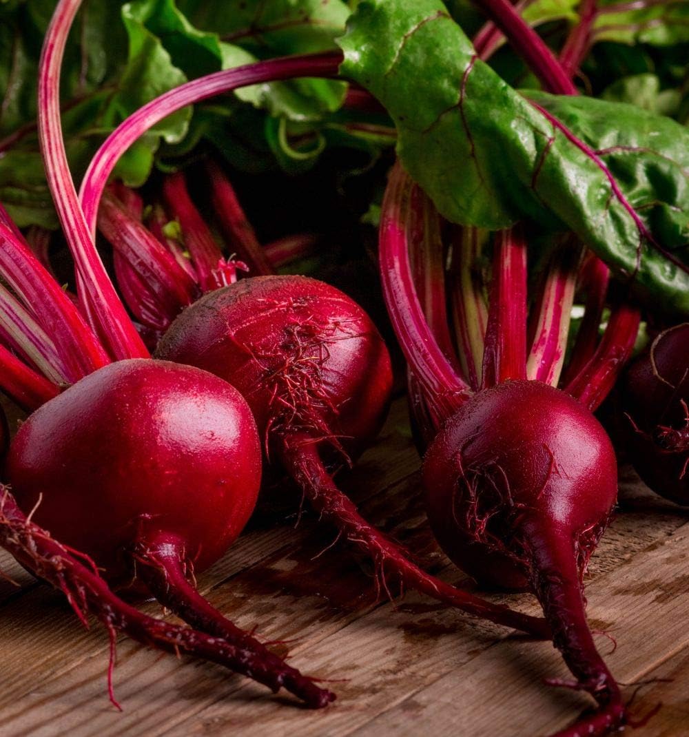 High Germination Beetroot Seeds Beet Seeds Heirloom Vegetable Garden ...