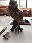 Amazon.com : Pacific Giftware Realistic Looking Eagle Owl Perched On ...
