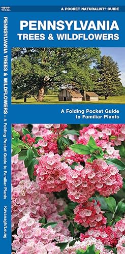 Pennsylvania Trees & Wildflowers: A Folding Pocket Guide to Familiar ...