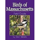 Birds of Massachusetts Field Guide (Bird Identification Guides): Tekiela, Stan: 9781647554033 ...