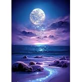 Amazon.com: igoodom Diamond Painting Moon Kits for Adults,5D Lake ...