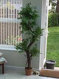 Luxury Artificial Japanese Fruticosa Tree, Stylish Replica Indoor Plant ...