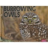 My Little Book of Burrowing Owls (My Little Book Series): Hope Irvin ...