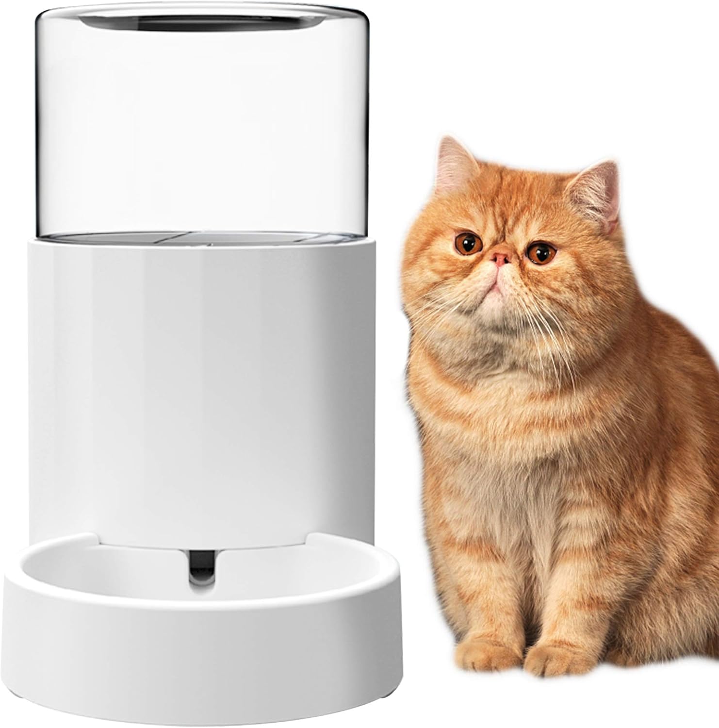 Kitchen & Dining : Lulu Home Automatic Pet Water Dispenser, Automatic ...
