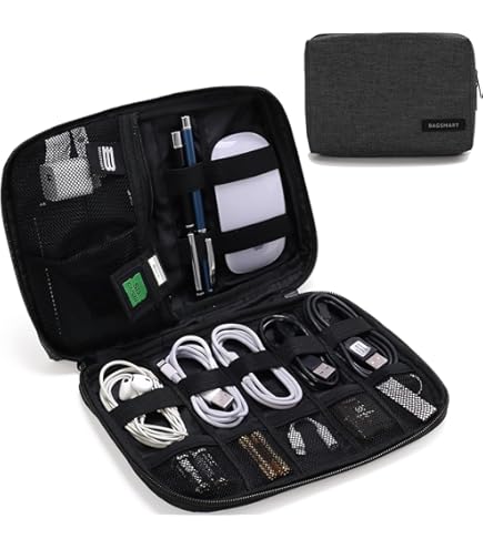 Electronic Address Organizer