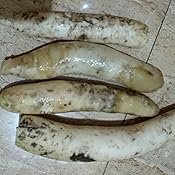 Fresh Radish - White, 500g Pack: Amazon.in: Grocery & Gourmet Foods