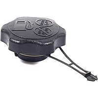 Amazon.com: Briggs & Stratton Cap-Fuel 596250 : Patio, Lawn & Garden