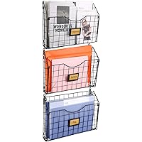 Amazon.com: X-cosrack Stackable Hanging Wall Files Rack&3-Tier Metal ...