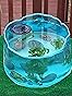 Garden Water Feature - Pop Up Pond Aquarium : Amazon.co.uk: Garden ...